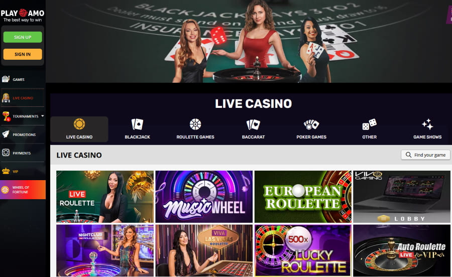 Playamo Online Casino In Canada September 2025 Review